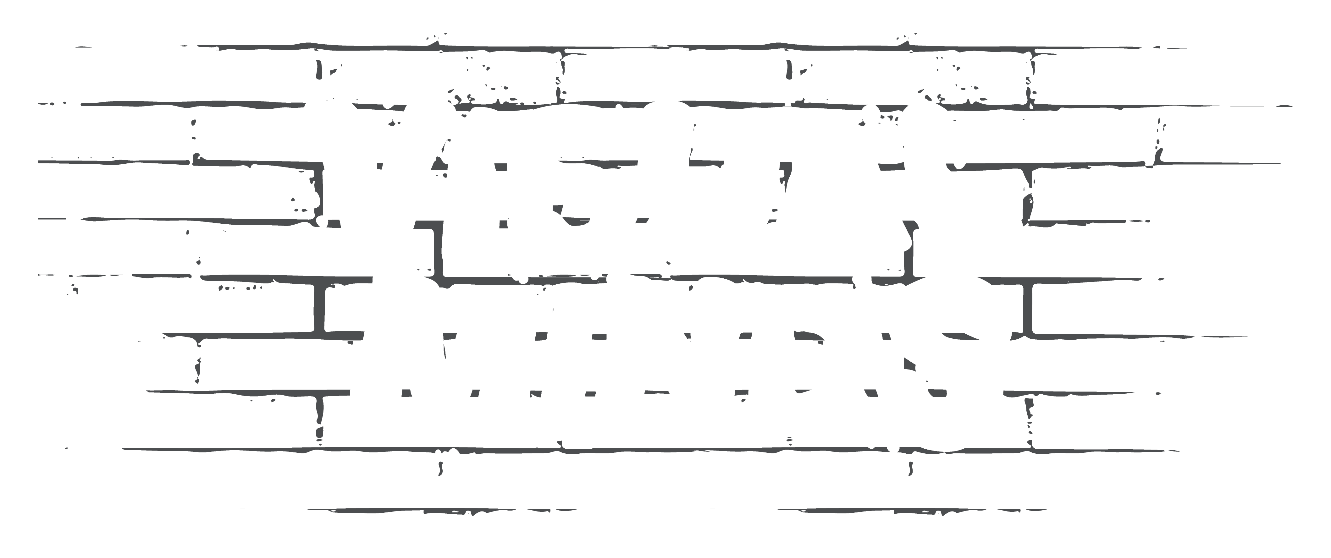 VISUAL MINDS – Visual Minds Co.